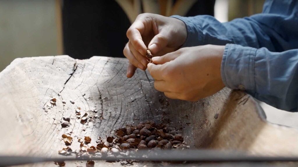 Uses and Roles of Cacao in Ancient Mesoamerica - Cacao Insights ...